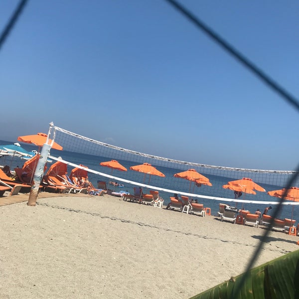 Tarzan Beach - 25 tips from 841 visitors