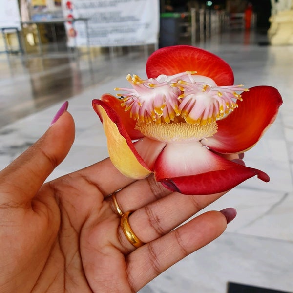 kanthan kaliaman temple - Chemor, Perak