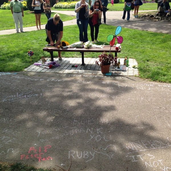 Photos at Good Will Hunting Bench - General Entertainment in Beacon Hill