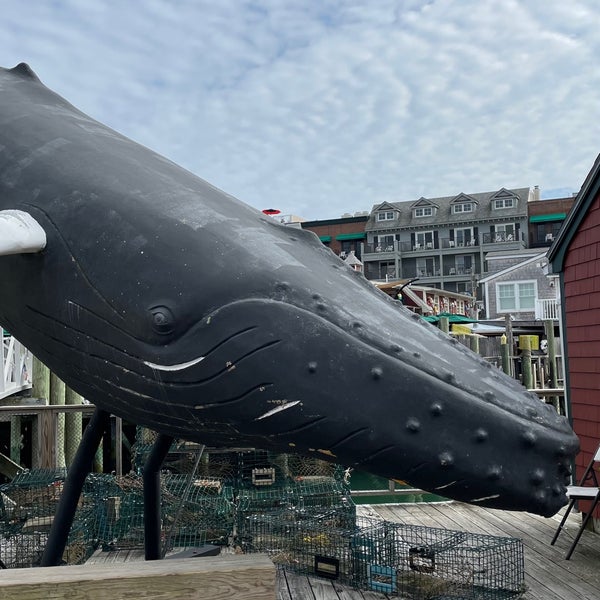 Lulu Lobster Boat Ride - 4 tips