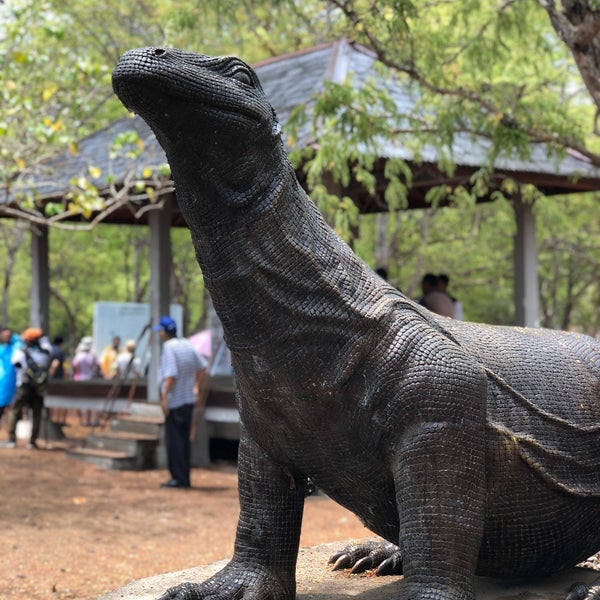 Komodo National Park - National Park in Pulau Komodo