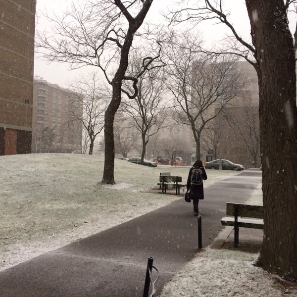 Photos at Starrett City | Spring Creek Towers - Housing Development in ...