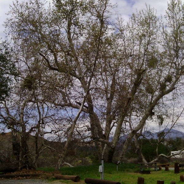 Photos at Caspers Wilderness Park - San Juan Capistrano, CA