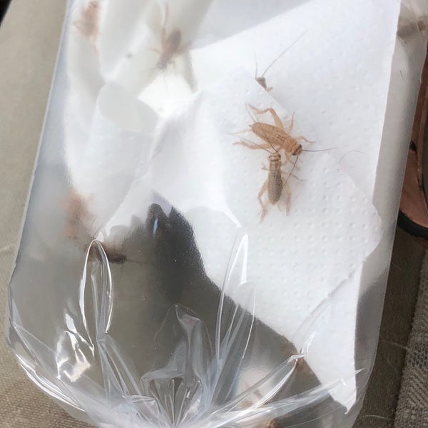 Mini Pet Mart - 2820 NE Stephens St