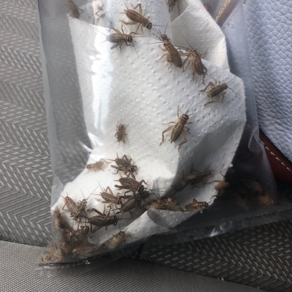 Mini Pet Mart - 2820 NE Stephens St