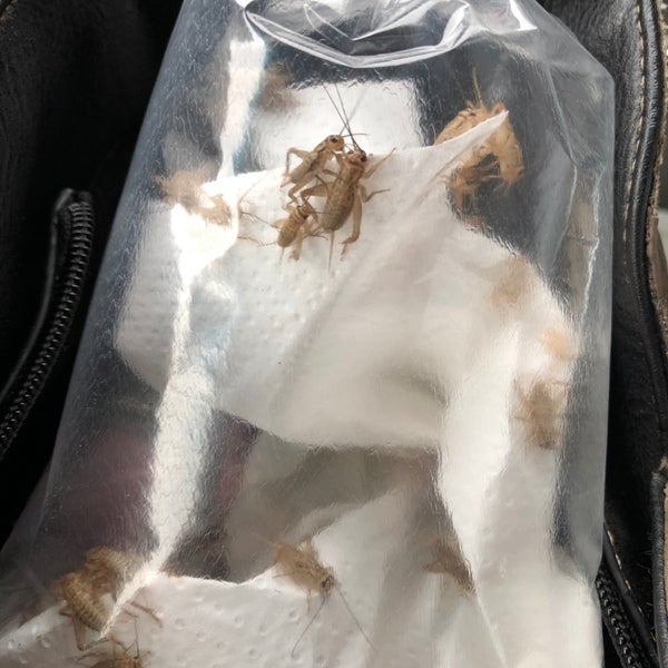 Mini Pet Mart - 2820 NE Stephens St