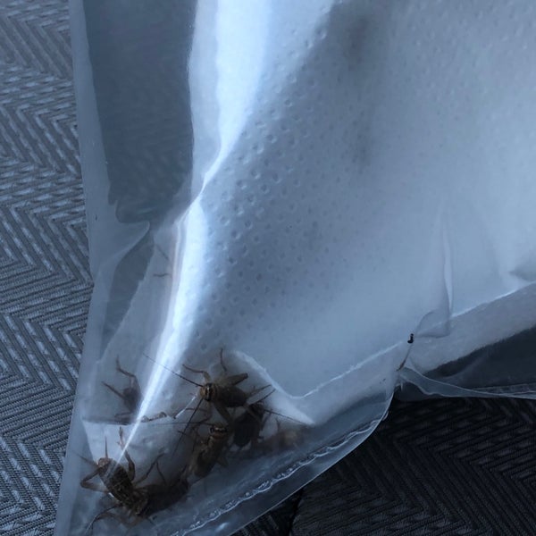 Mini Pet Mart - 2820 NE Stephens St