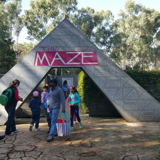 The Maze - Perth, WA