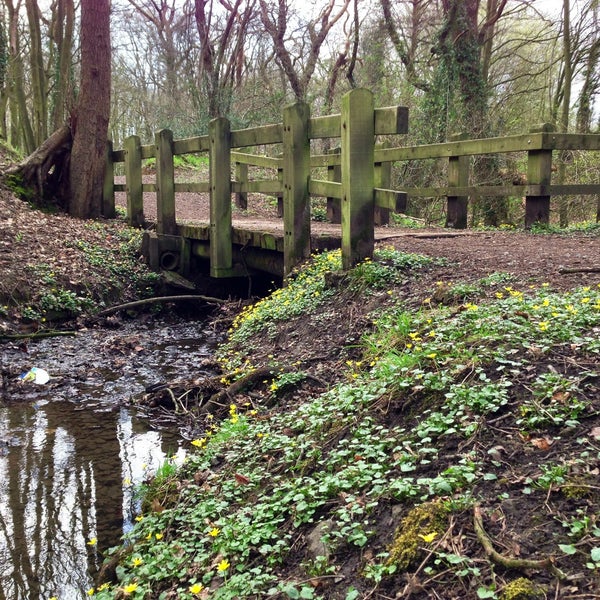 Masons Wood - Masonwood