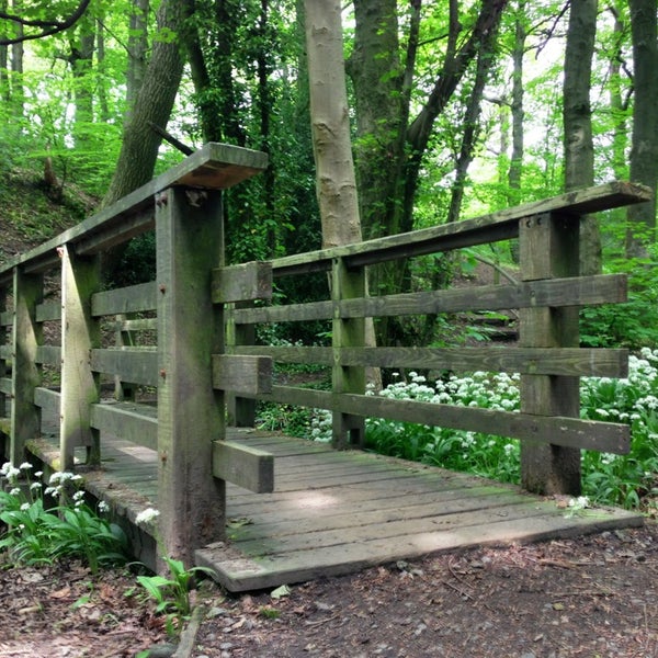 Masons Wood - Masonwood