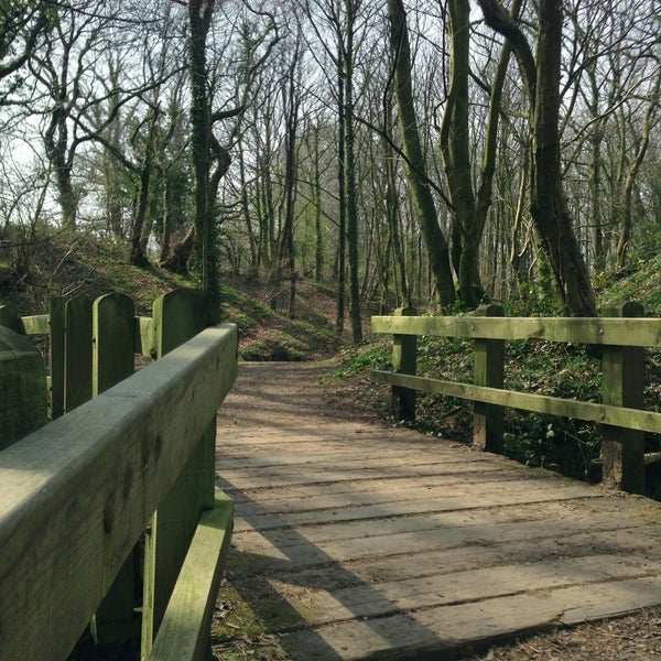 Masons Wood - Masonwood