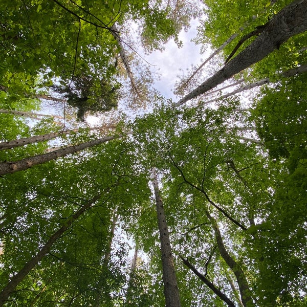Salt Run Trail (Cuyahoga Valley National Park) - 4999 Quick Rd