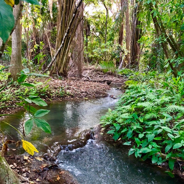Cascadas Rancho "La jarrilla" - 5 visitors