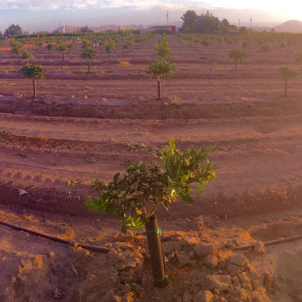 City of Dinuba - City