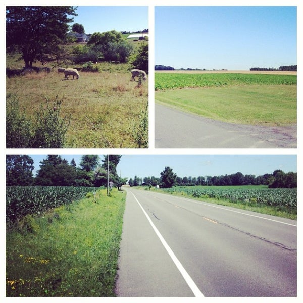 Fayette NY