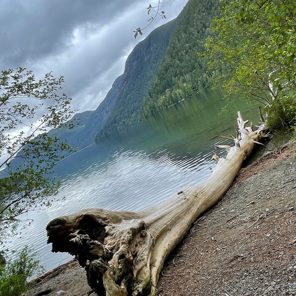 Cameron Lake - Cameron Lake - Pacific Rim Hwy