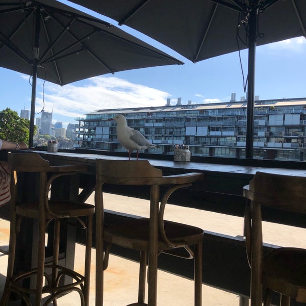 Pier 8 Cafe - 26 tips from 342 visitors