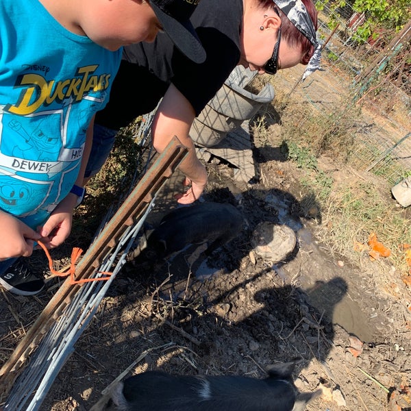 Zittel Farms - Farm in Folsom