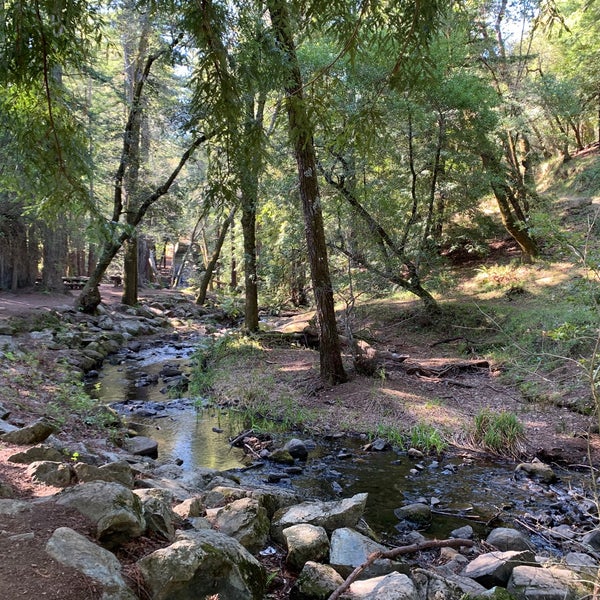 Photos at Lake Lagunitas - Fairfax, CA