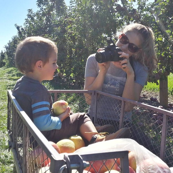 Boehm's Apple Farm - 55 visitors