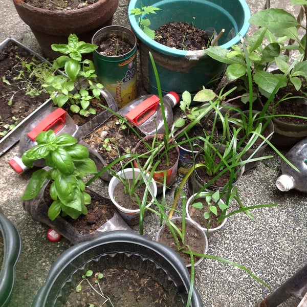 Labo Street - Road in Quezon City District 1