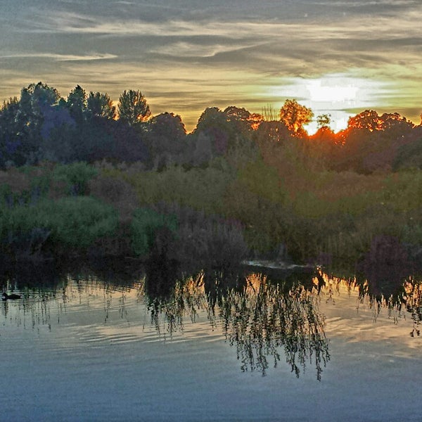 Newpark Marsh Park - Park in Kilkenny