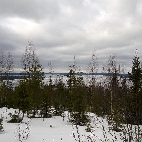 Pieni-Pölly (335 mpy) - Mountain in Sotkamo