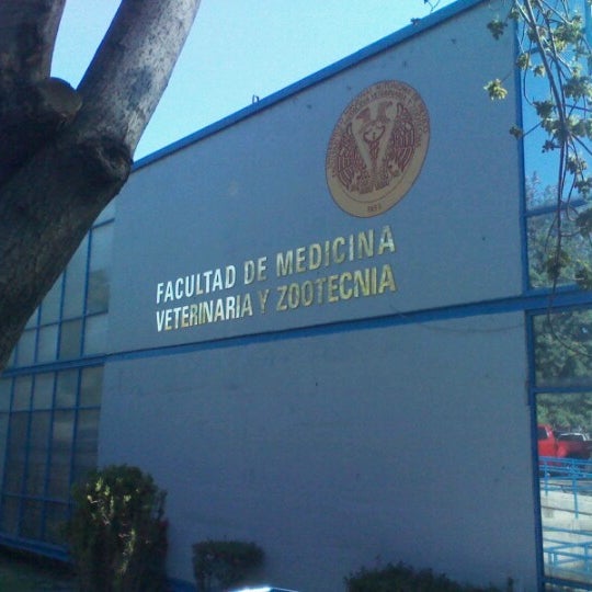 UNAM Facultad de Medicina Veterinaria y Zootecnia - 46 tips de 3319 ... UNAM Facultad de Medicina Veterinaria y Zootecnia - 46 tips de 3319 ...