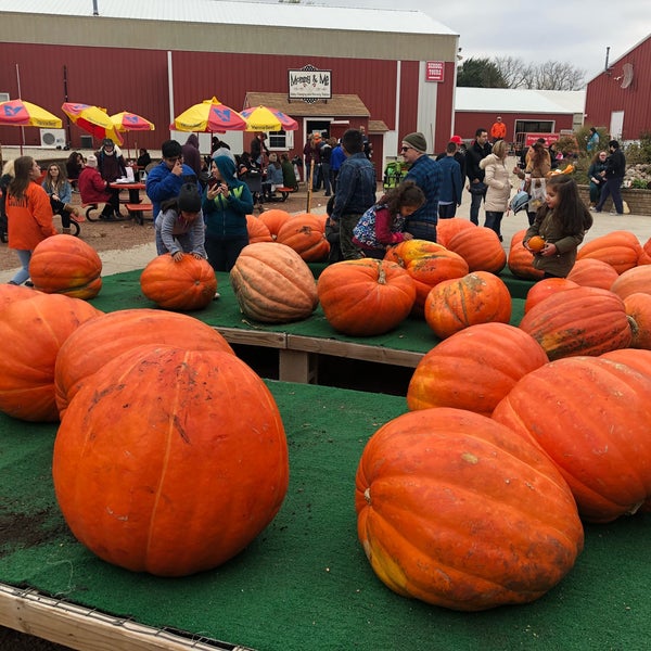 Photos at Goebbert's Farm & Garden Center - South Barrington, IL