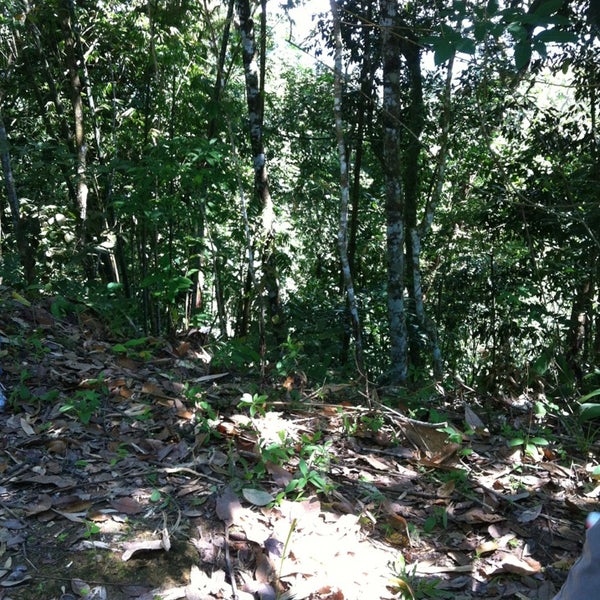 SAlCRA JAGOI OPE BAU