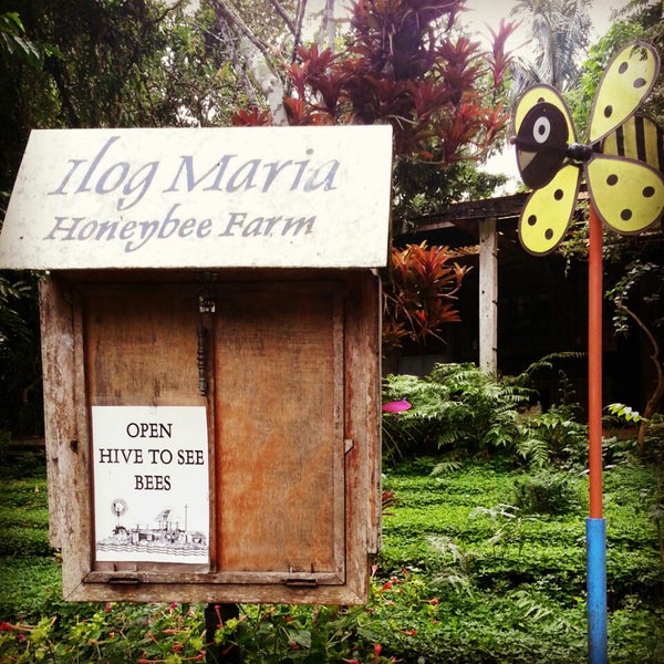 Ilog Maria Honeybee Farm - Silang, Cavite