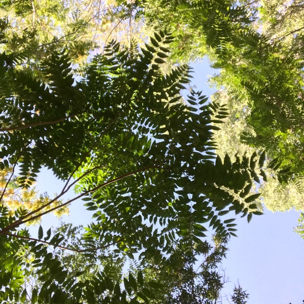 Photos at Mahallati Mountains | ارتفاعات شهرک شهید محلاتی - Mountain in ...