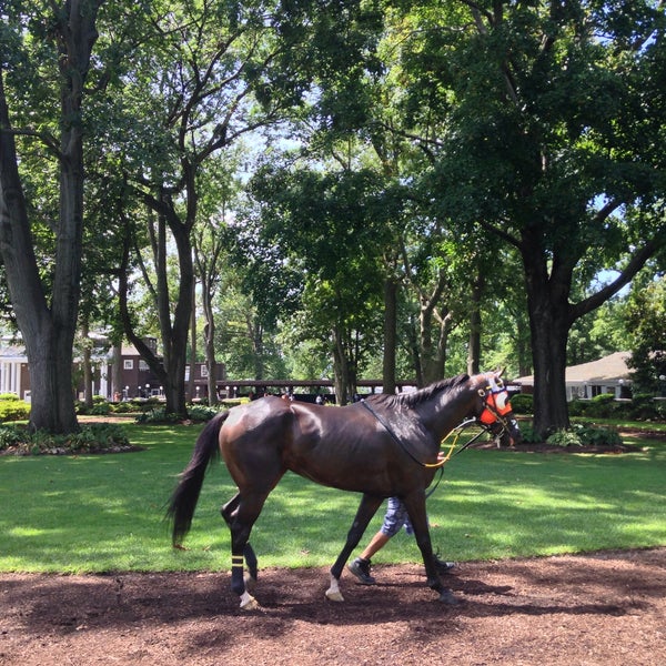 Delaware Park - 61 tips from 4061 visitors