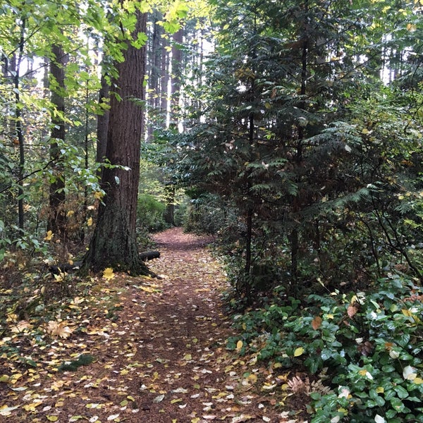 Photos at Robinswood Park - Park in Bellevue