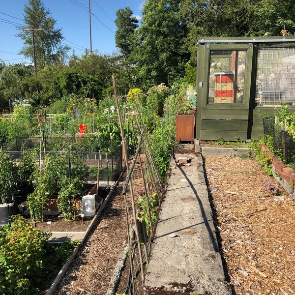 Eastlake P-Patch - Eastlake - Seattle, WA