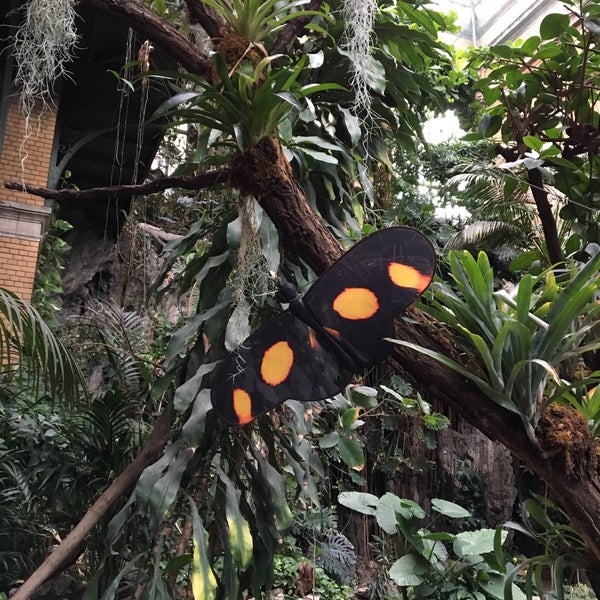 Photos at Vlindertuin - Zoo Exhibit in Antwerpen