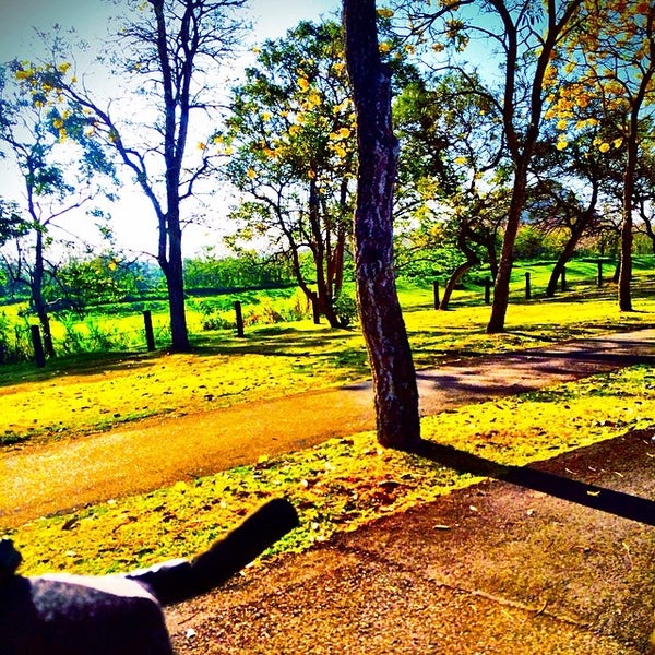 Paseo Lineal (Rio Bayamon) - Other Great Outdoors in Bayamon