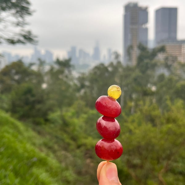Meilin Park - Park in 深圳市