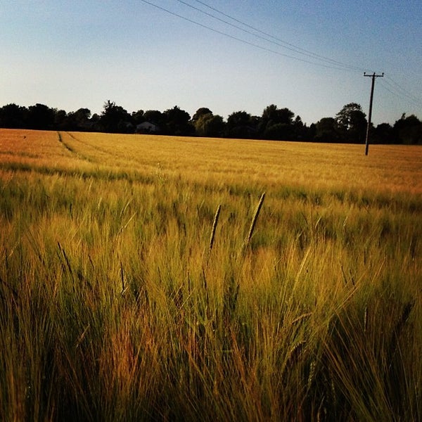 Debden - Neighborhood in Debden