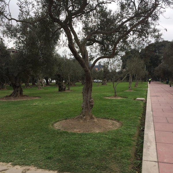 Bosque El Olivar - Park in San Isidro