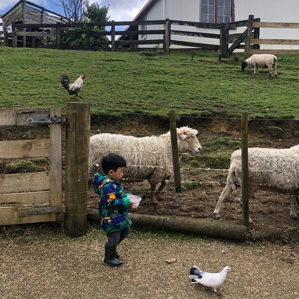 Kiwi Valley Farm Park - 4 tips from 116 visitors