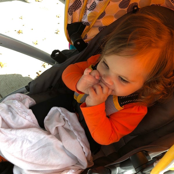 PS 115Q Glen Oaks School - 80-51 261st St