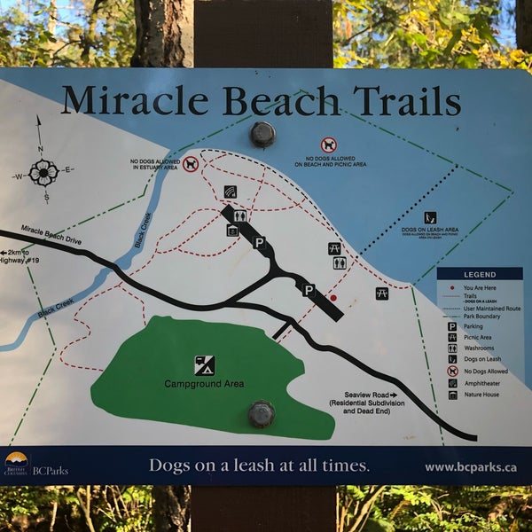 Miracle Beach