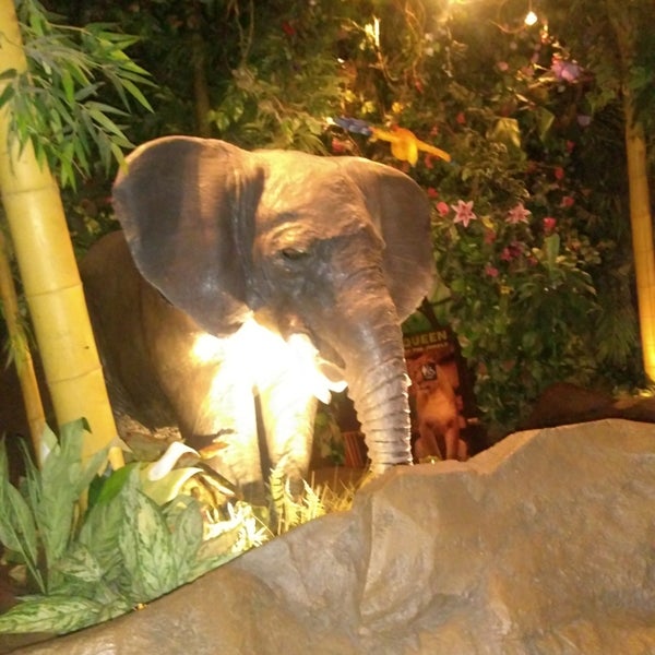Rainforest Cafe - American Restaurant