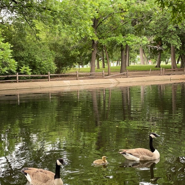 Trinity Park Duck Pond - 8 tips