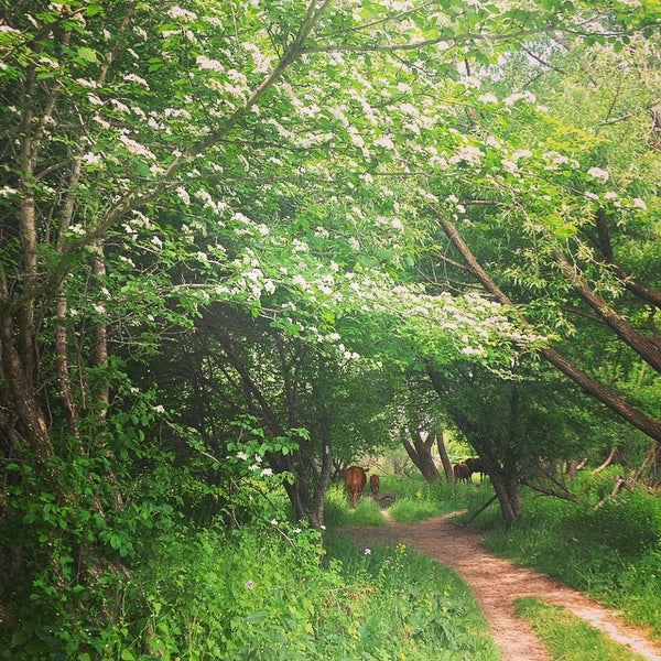 Health Valley Trail-Waterloo Trailhead - University Ave. E.