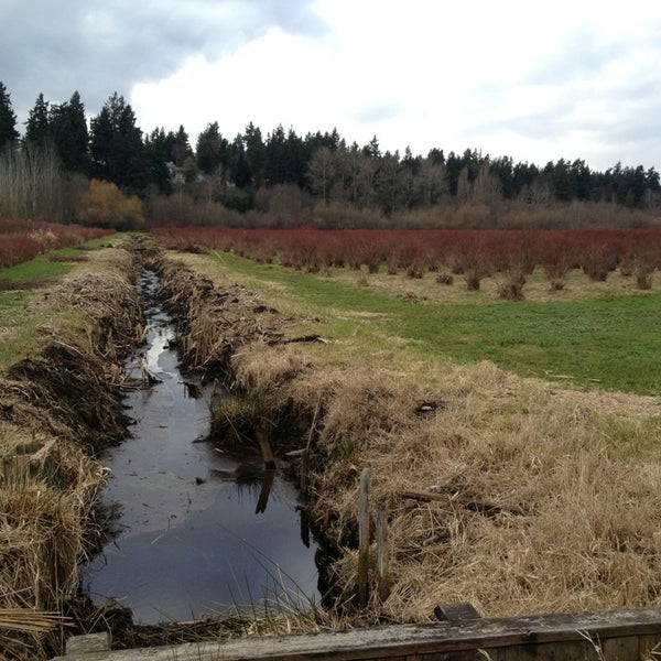 Mercer Slough Nature Park - West Bellevue - 10 tips from 620 visitors
