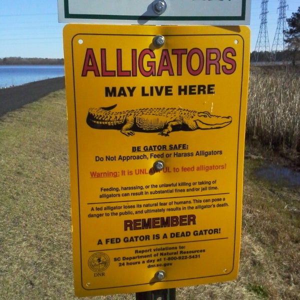 Lake Busbee - Conway, SC