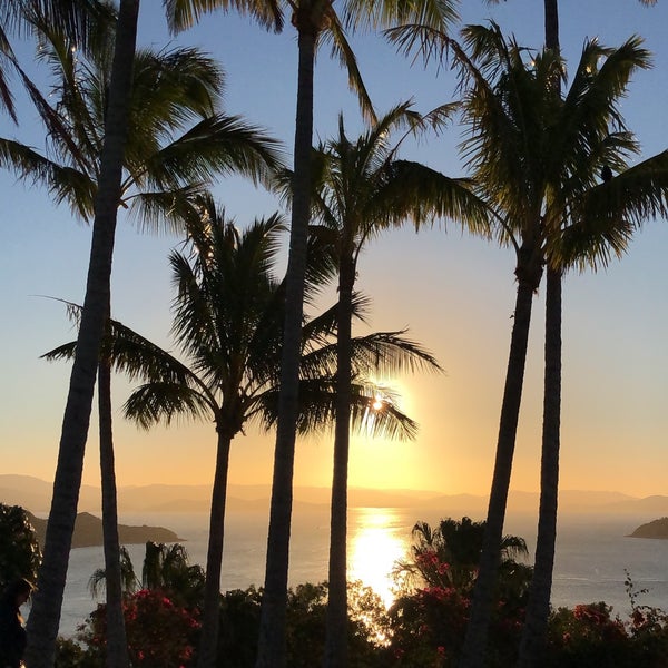 One Tree Hill - Scenic Lookout