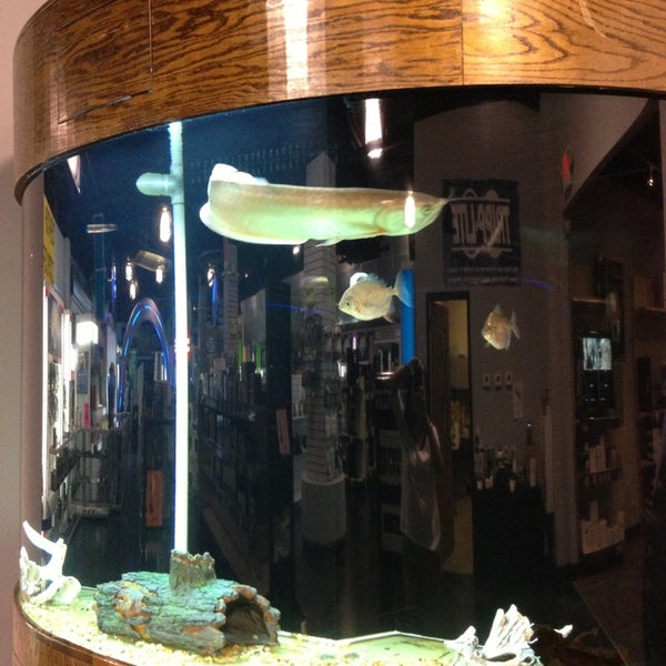 ATD Computer Solutions - 2 tips from 49 visitors